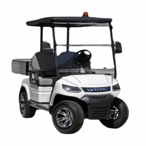 2 Seat Fleet Cart | LVTONG Australia Electric Golf Cart